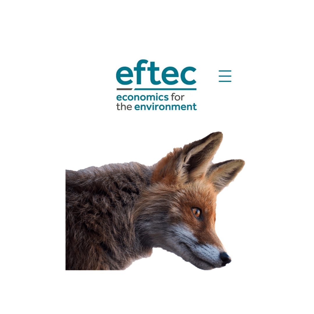 Works - Secil Honeywill